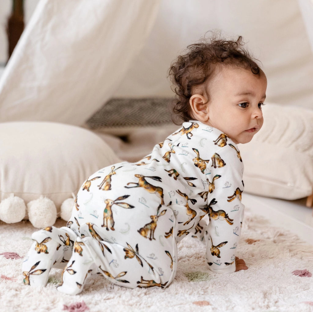 Molly Hare Print Babygrow: 0-6 Months - Catherine Rayner - Daisy Chain ...