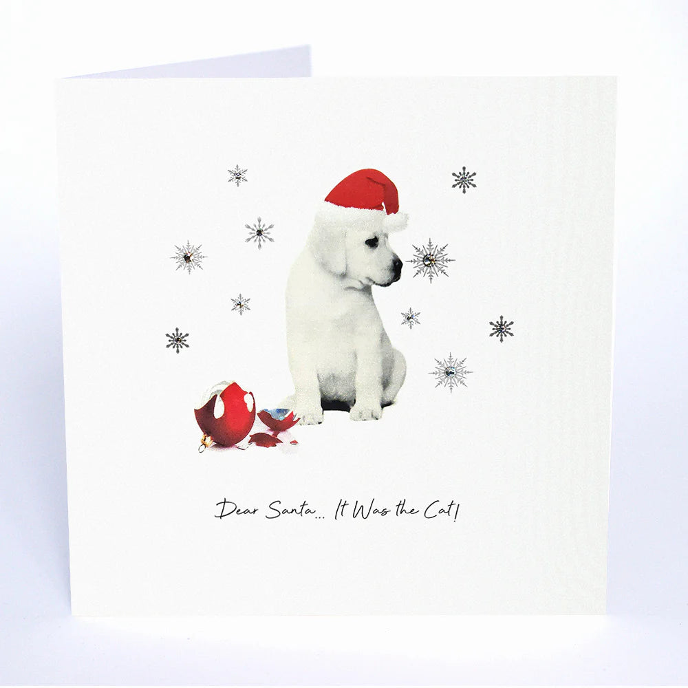 Dear Santa... It Was The Cat: Animal Crackers Christmas Card - Five ...