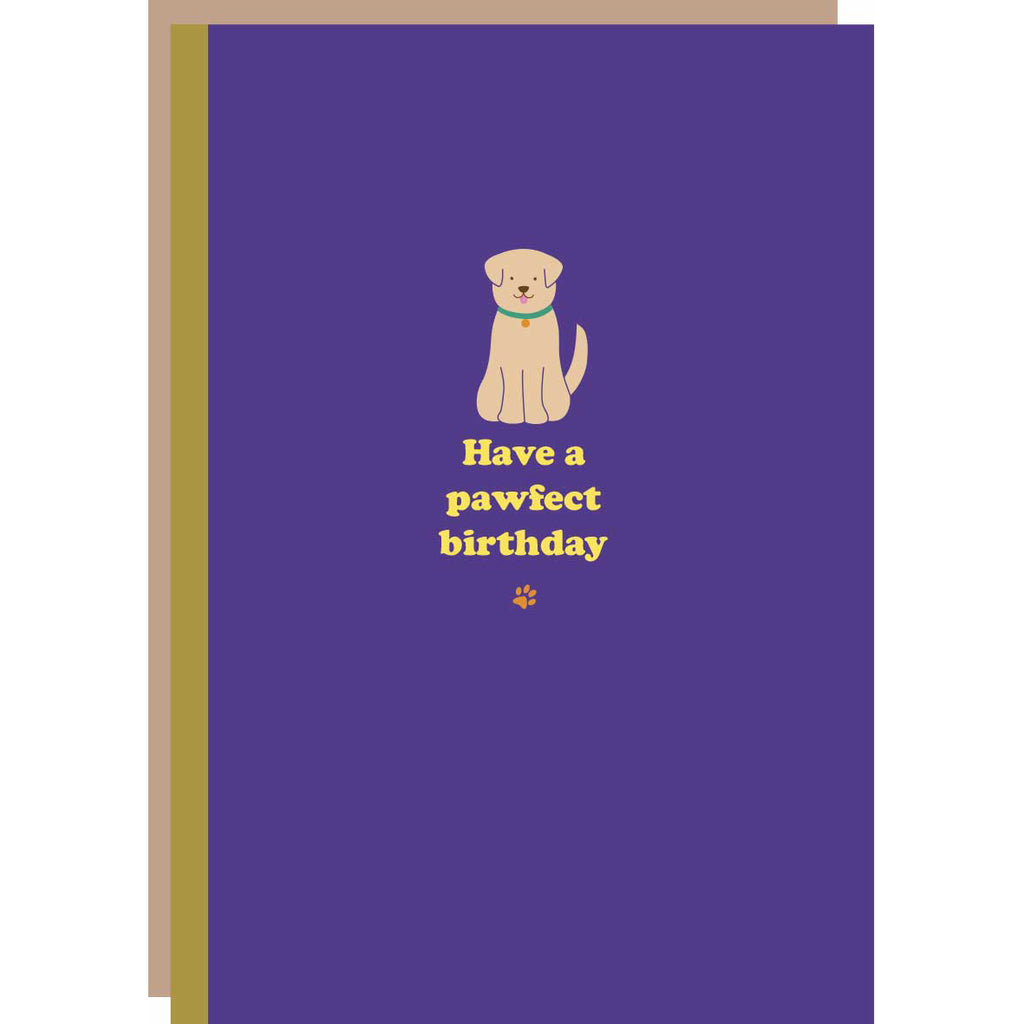 Have A Pawfect Birthday - Daisy Chain Gift Company